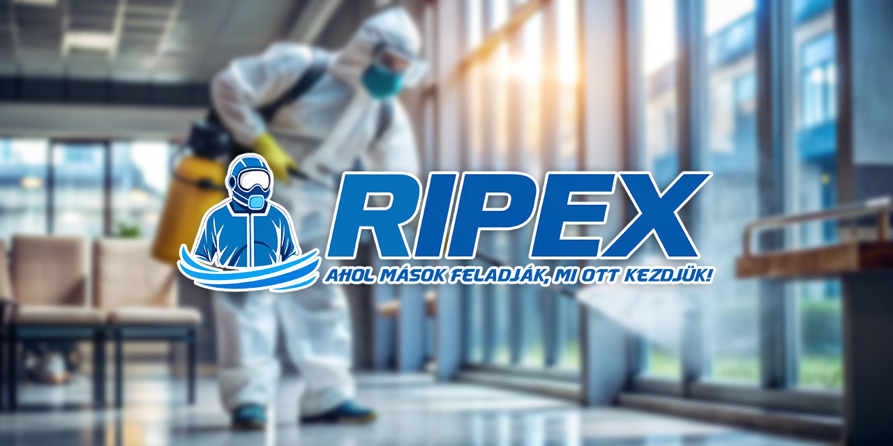 RIPEX - Az extrém takarítás és szállítás mesterei